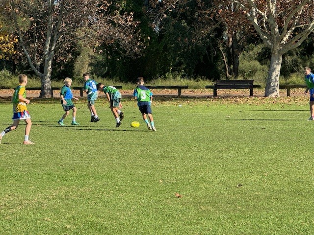 Touch | CSNSW Sport Portal