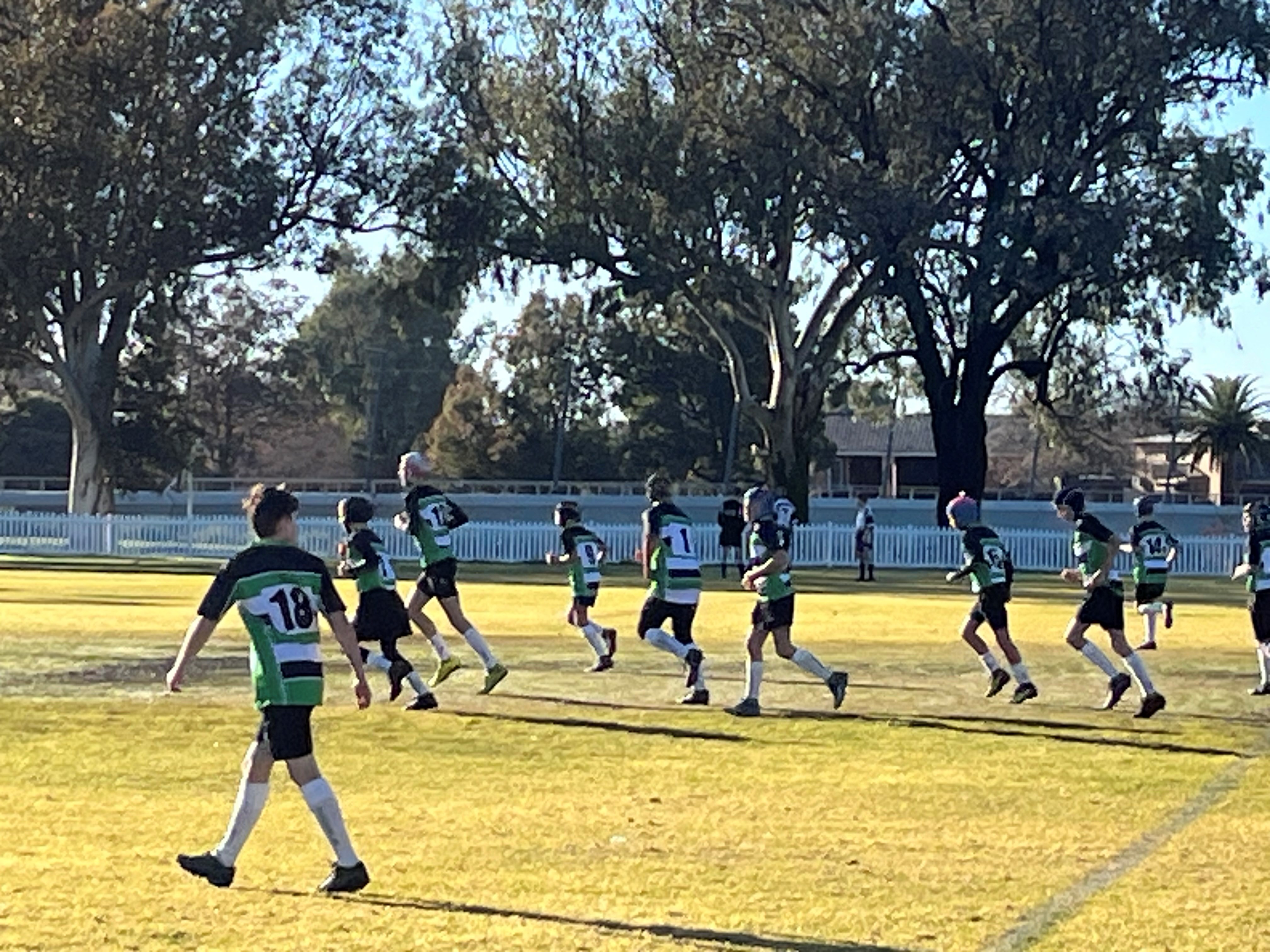 Polding Rugby | CSNSW Sport Portal