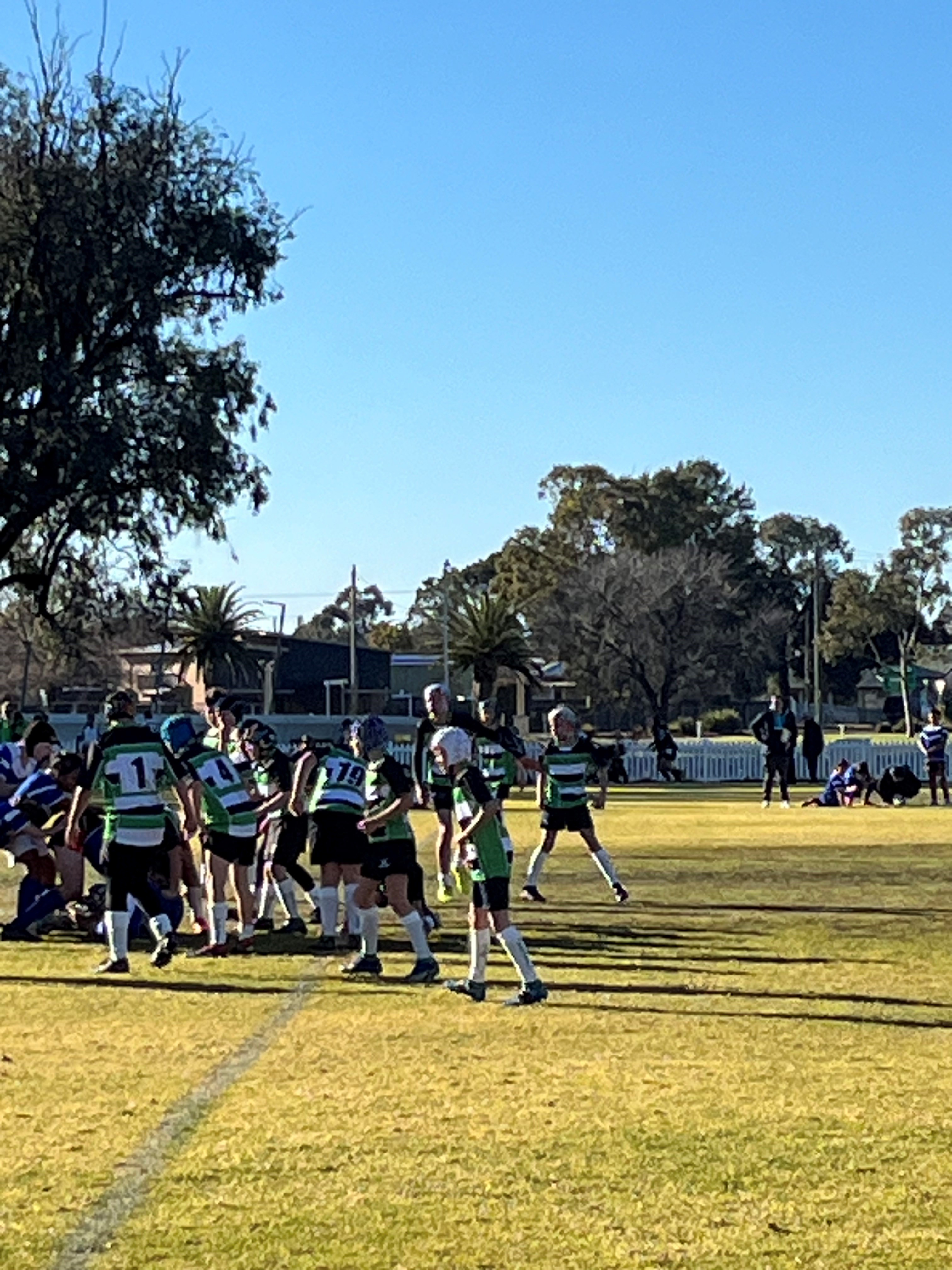 Polding Rugby | CSNSW Sport Portal