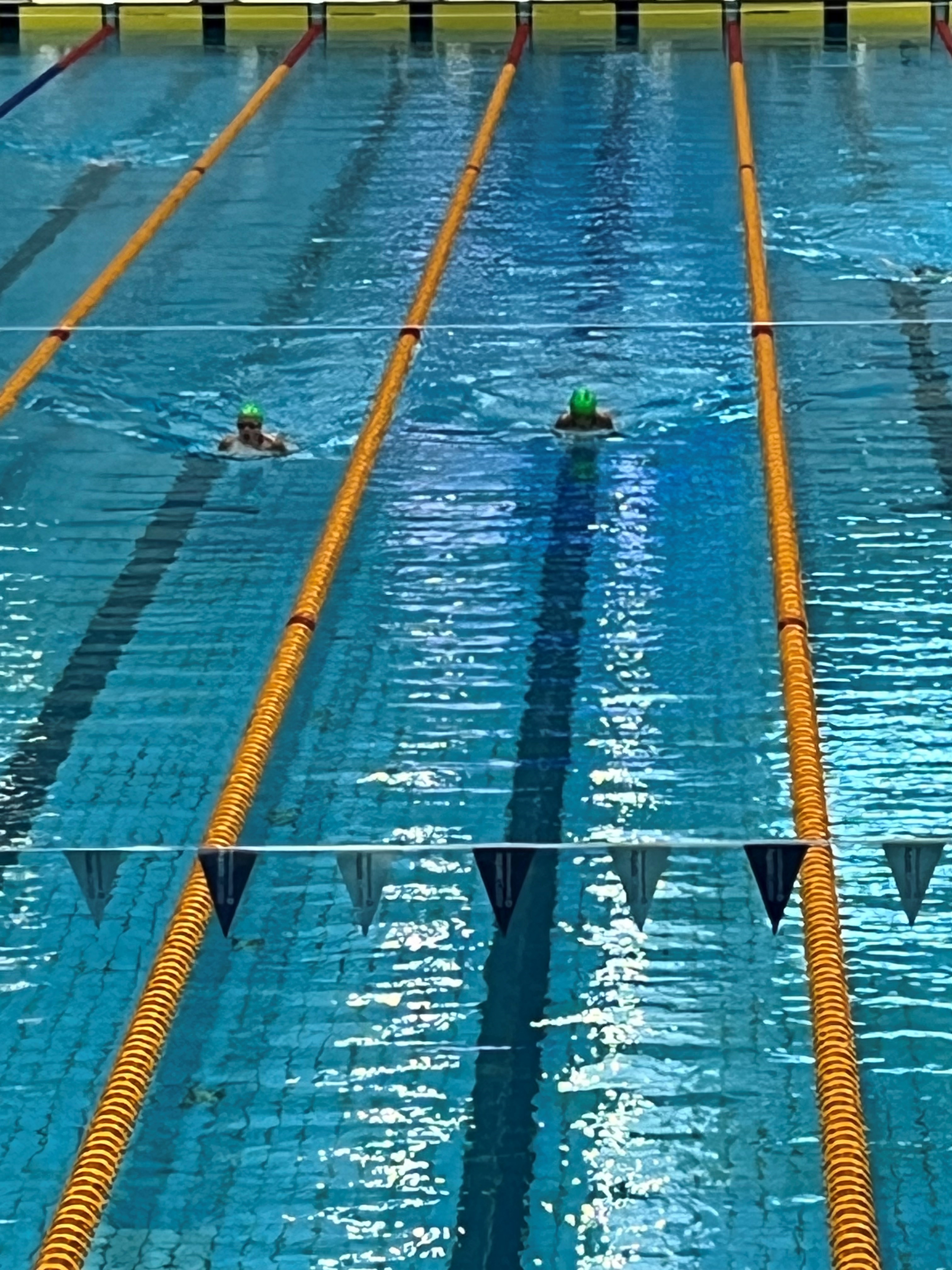 Polding Swimming | CSNSW Sport Portal