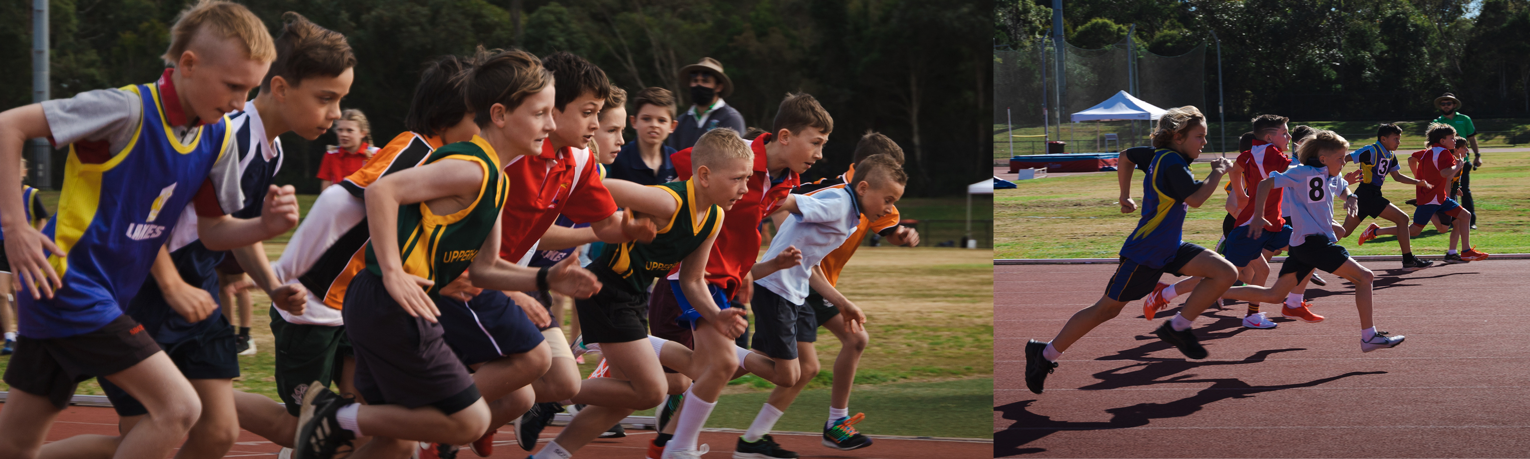 Home | CSNSW Sport Portal